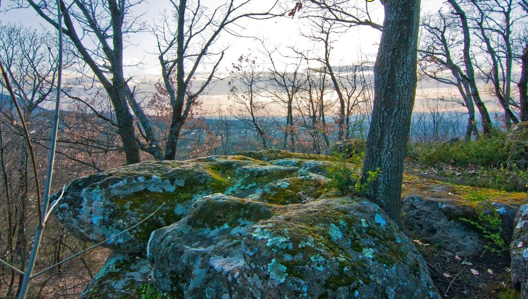 Viterbo - Appuntamento alla scoperta del Bosco esoterico del Montecchio ...