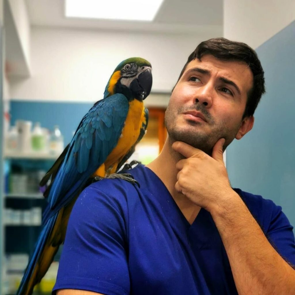 Tivoli - Morto Marco Pertini, il veterinario ‘Dottor pet’ star dei ...